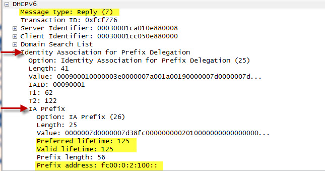 Experimenting with DHCPv6 - CellStream, Inc.