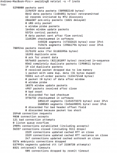 IPv6 MacOS Command Line Examples - CellStream, Inc.