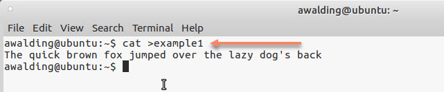 What is the 'cat' command, and how can I use it? - CellStream, Inc.
