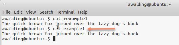 What is the 'cat' command, and how can I use it? - CellStream, Inc.