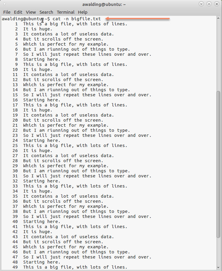 What is the 'cat' command, and how can I use it? - CellStream, Inc.