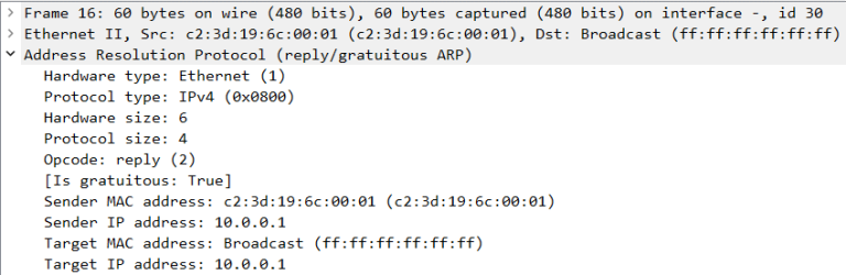 What is the 'arp' protocol and the 'arp' command, and how can I use it ...