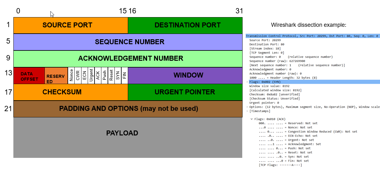 Which Version of TCP are you using? - CellStream, Inc.