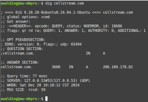 What is the 'dig' command, and how can I use it? - CellStream, Inc.