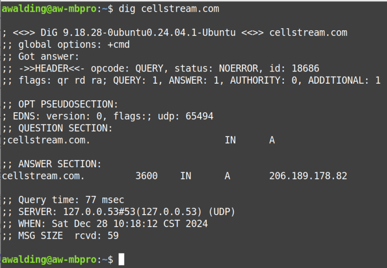 What is the 'dig' command, and how can I use it? - CellStream, Inc.